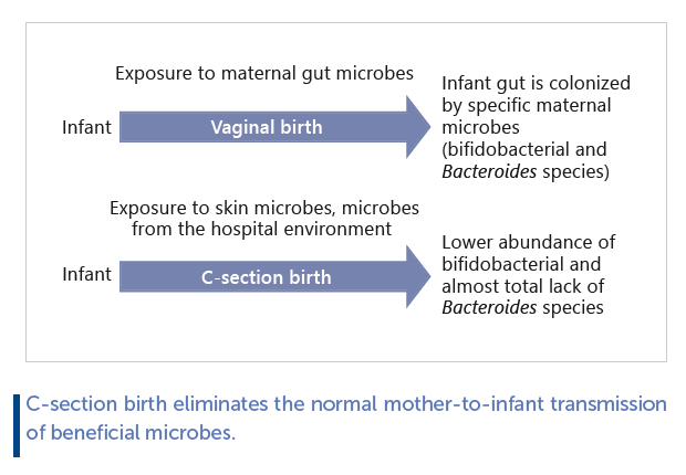 Impact of Delivery Mode on Infant Gut Microbiota